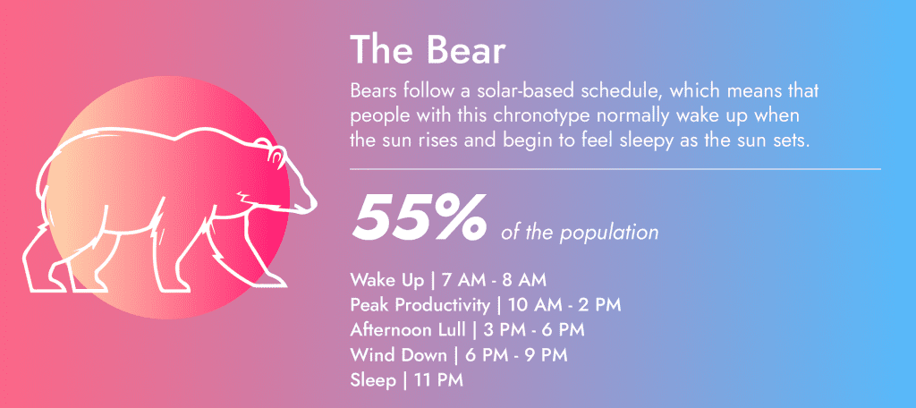 How To Know Your Chronotype | Sealy Singapore