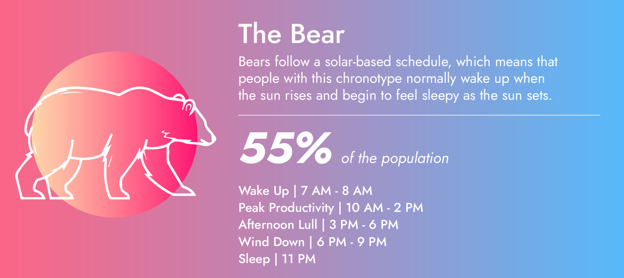 How To Know Your Chronotype | Sealy Singapore
