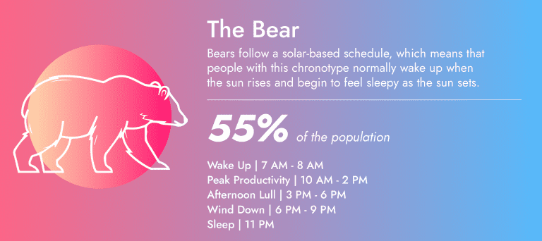 How To Know Your Chronotype | Sealy Singapore