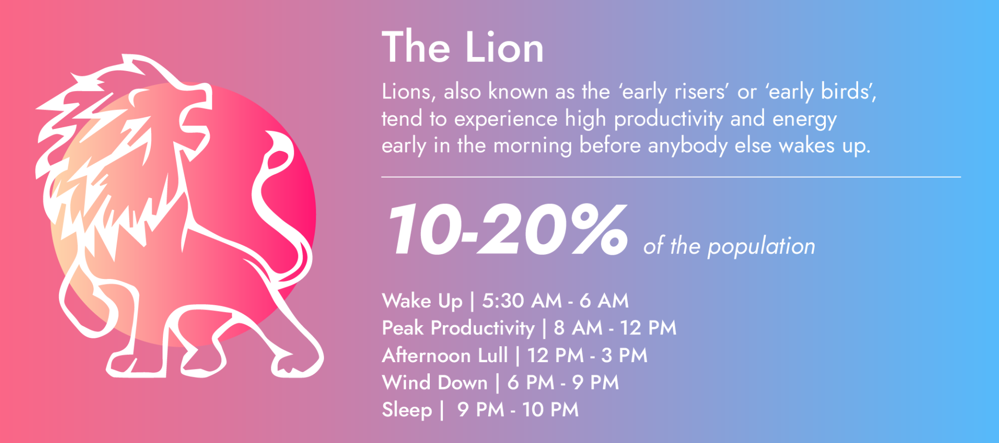 How To Know Your Chronotype | Sealy Singapore