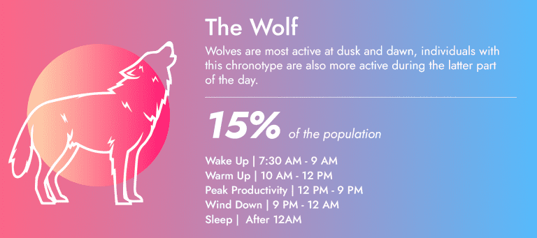 How To Know Your Chronotype | Sealy Singapore