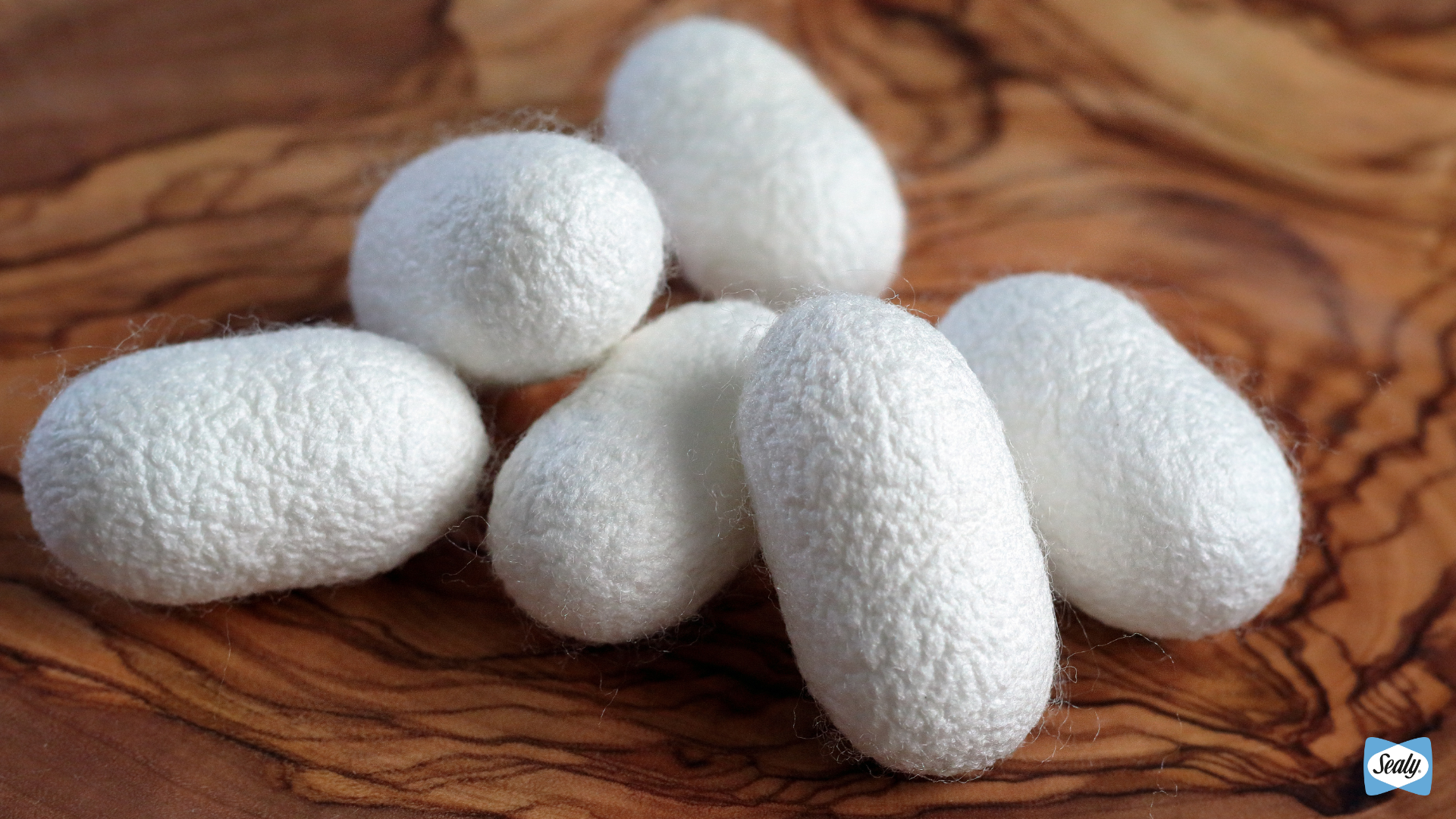 What is silk? | Sealy Singapore